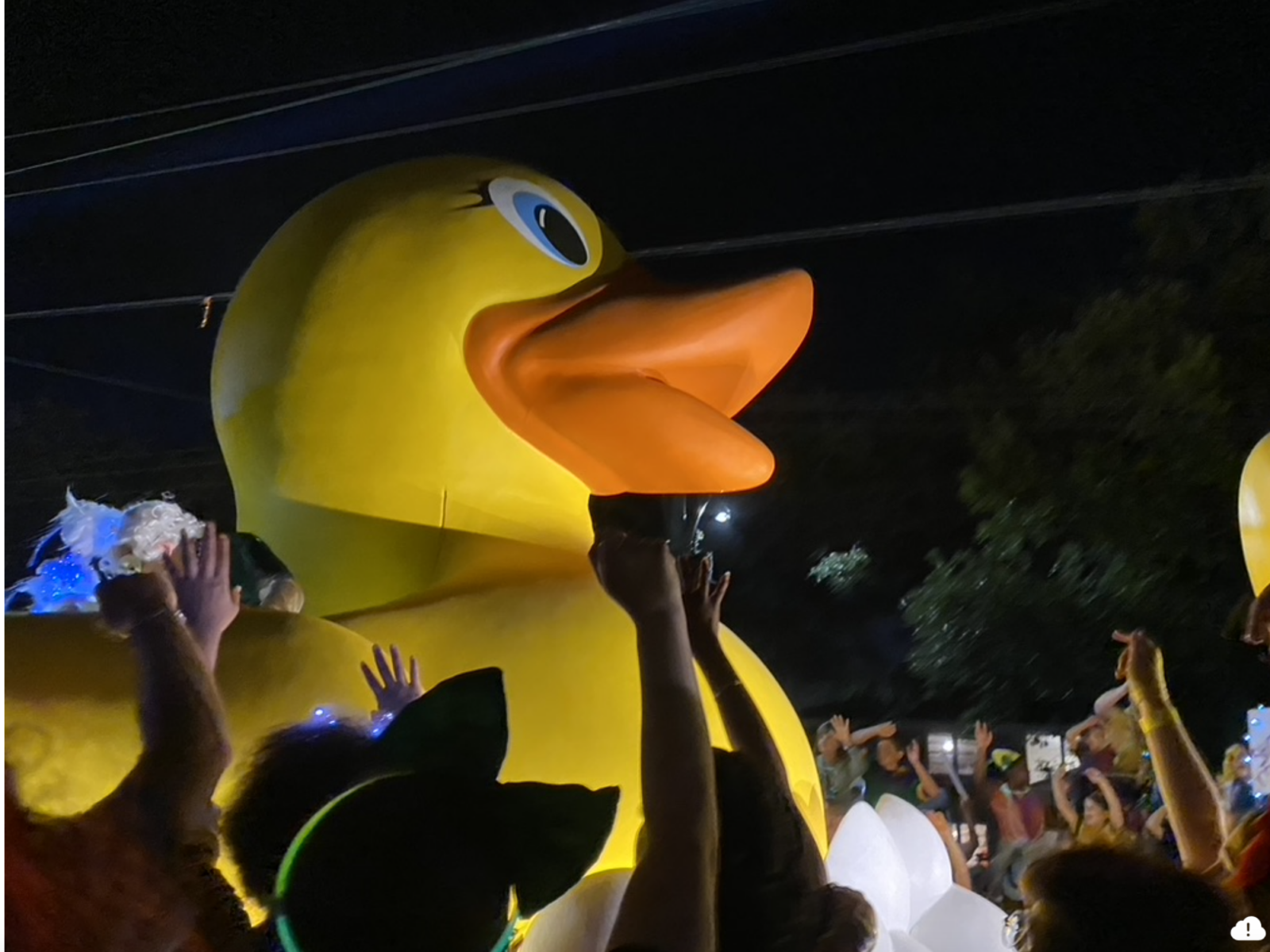 Mardi Gras 💜💚💛 - WYES New Orleans